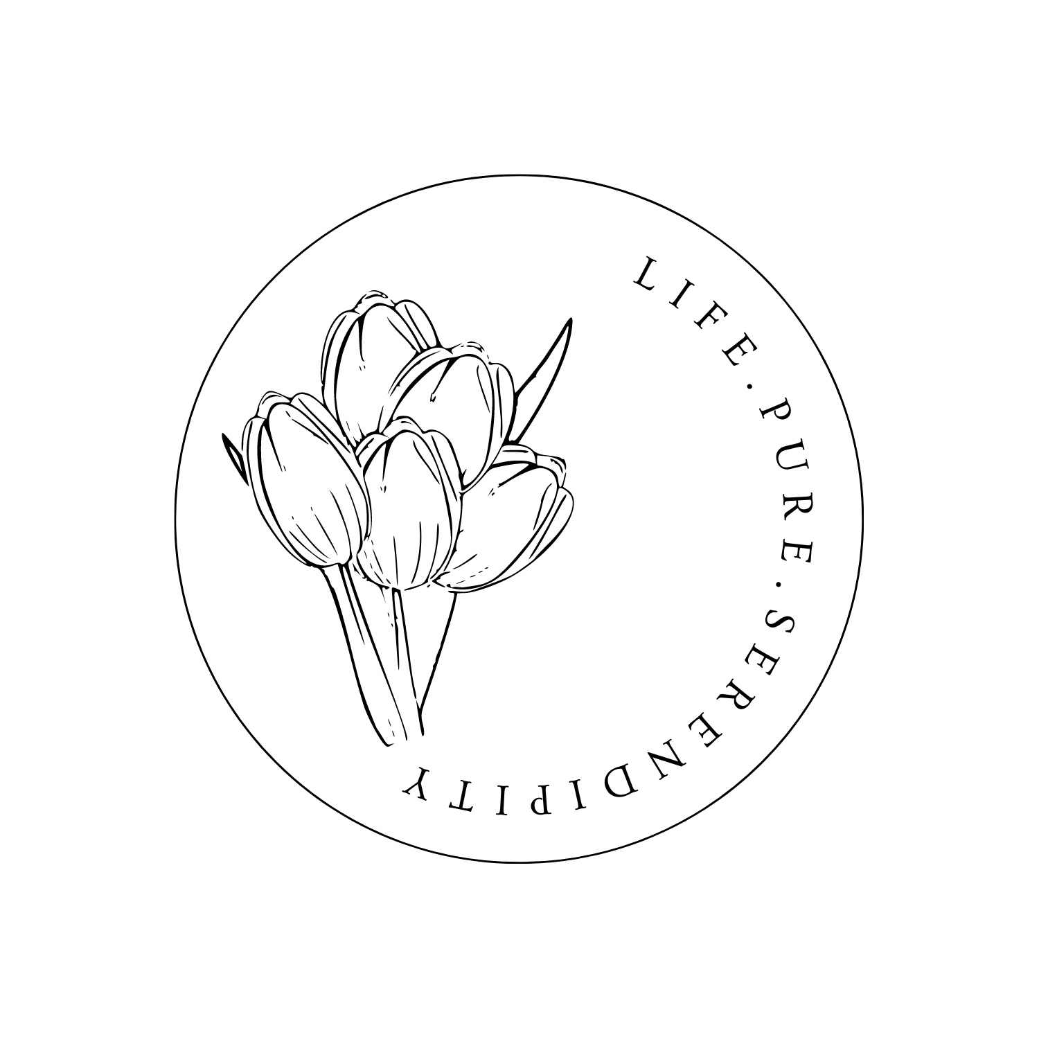 Life Pure Serendipity